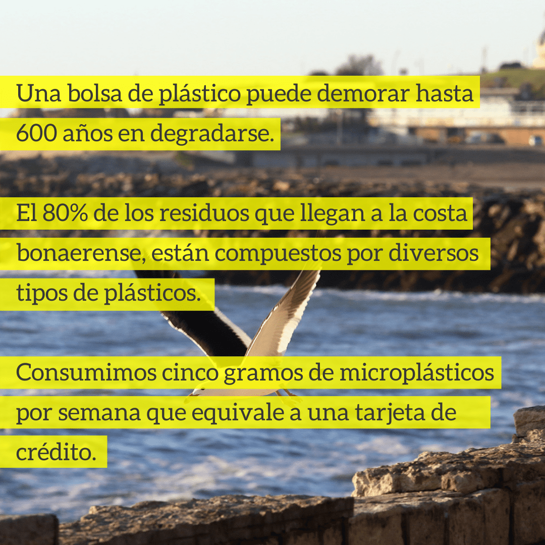 La ropa es la principal generadora de microplásticos en el agua - Bacap ...
