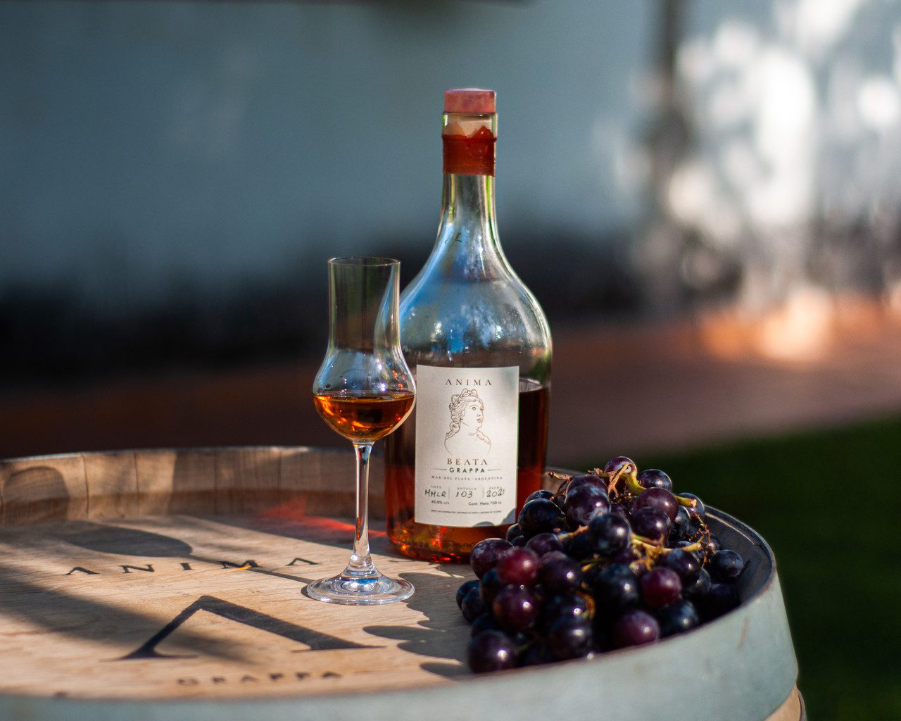 Grappa, raíces italianas con sabor marplatense - Bacap Noticias