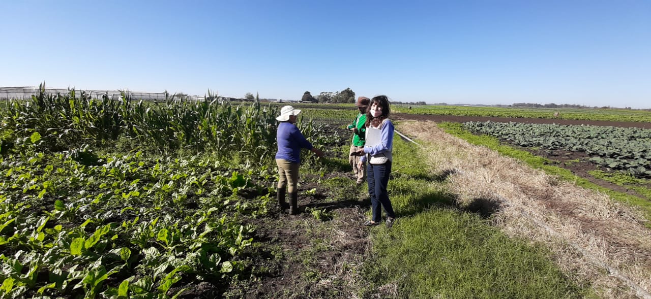 Crearon un mapa de productores agroecológicos de Mar del Plata y la ...