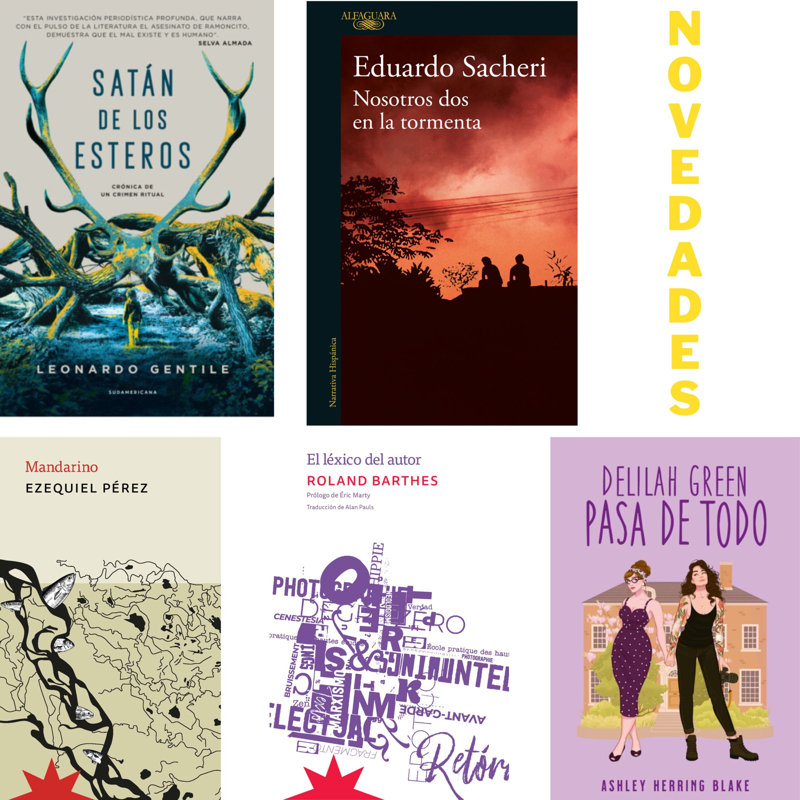 Los libros destacados del mes - Bacap Noticias