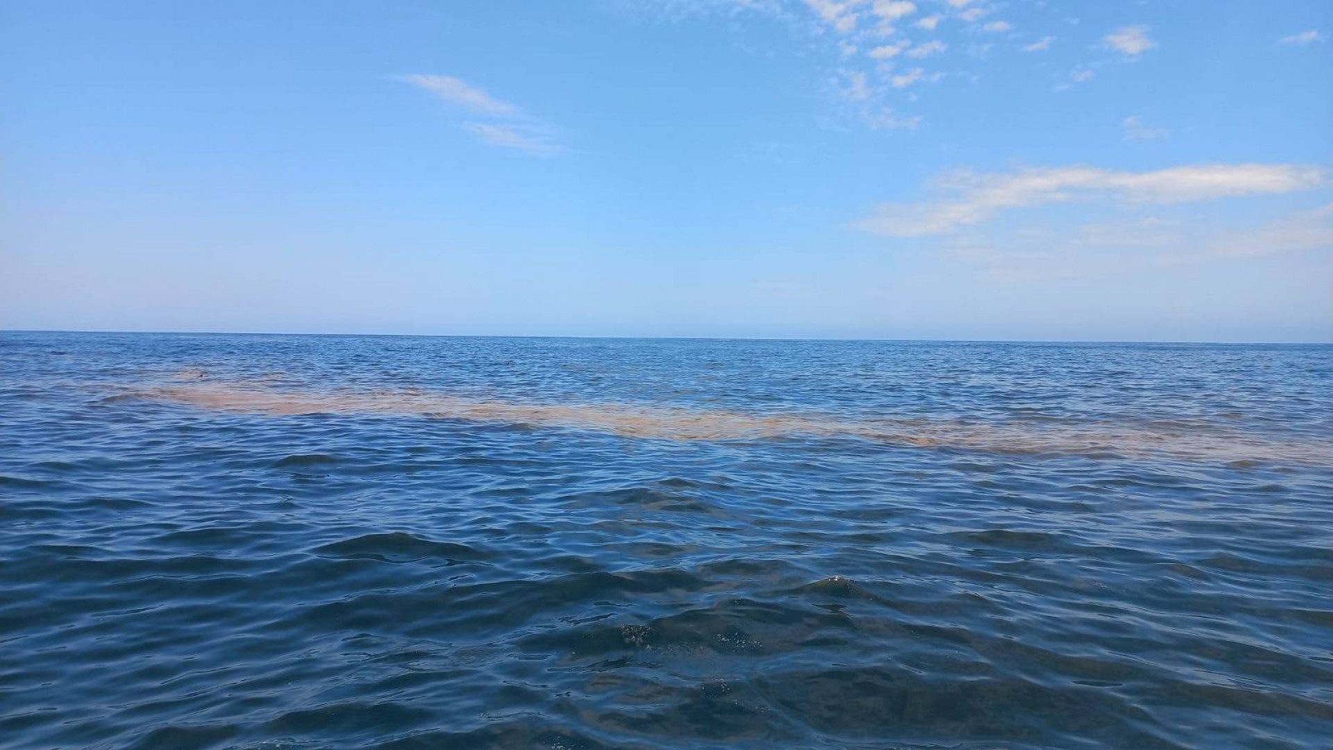 ¿Sabés qué son las mareas rojas? - Bacap Noticias