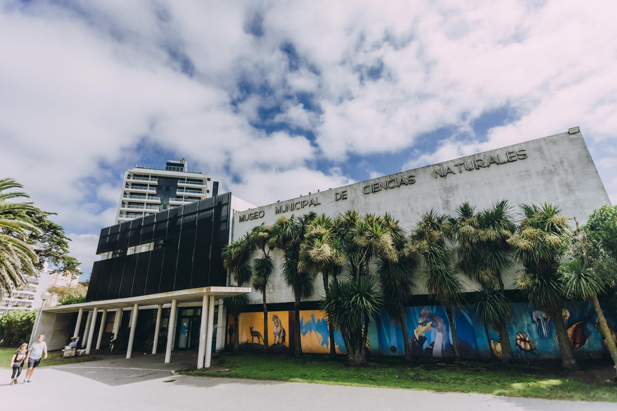 El Museo Scaglia, un espacio para recorrer la historia natural de Mar ...