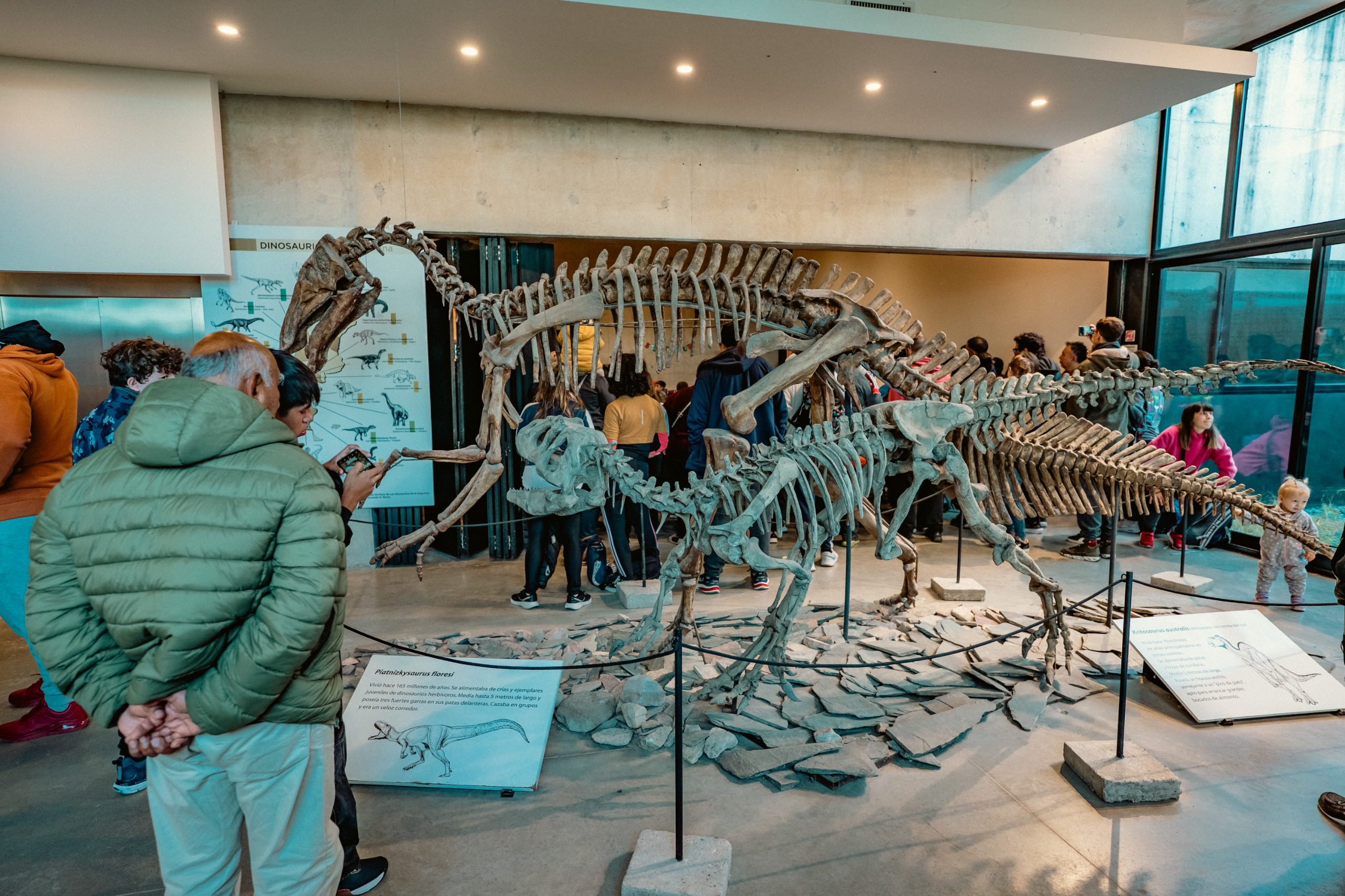 El Museo Scaglia de Mar del Plata celebra sus 58 años en diciembre e ...